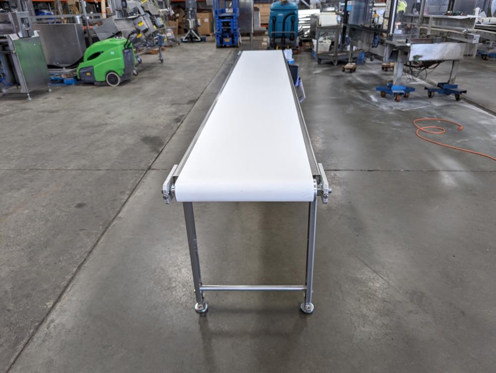 New Custom BD Briggs Belt Conveyor